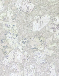 Cork Flooring - Discount Handscraped Wood Floors - World Floors